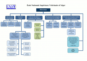 organigramme - ENSV