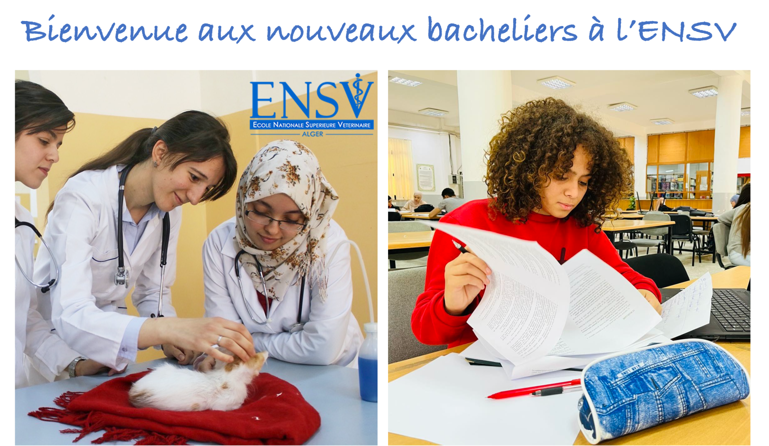 Nouveaux bacheliers - ENSV