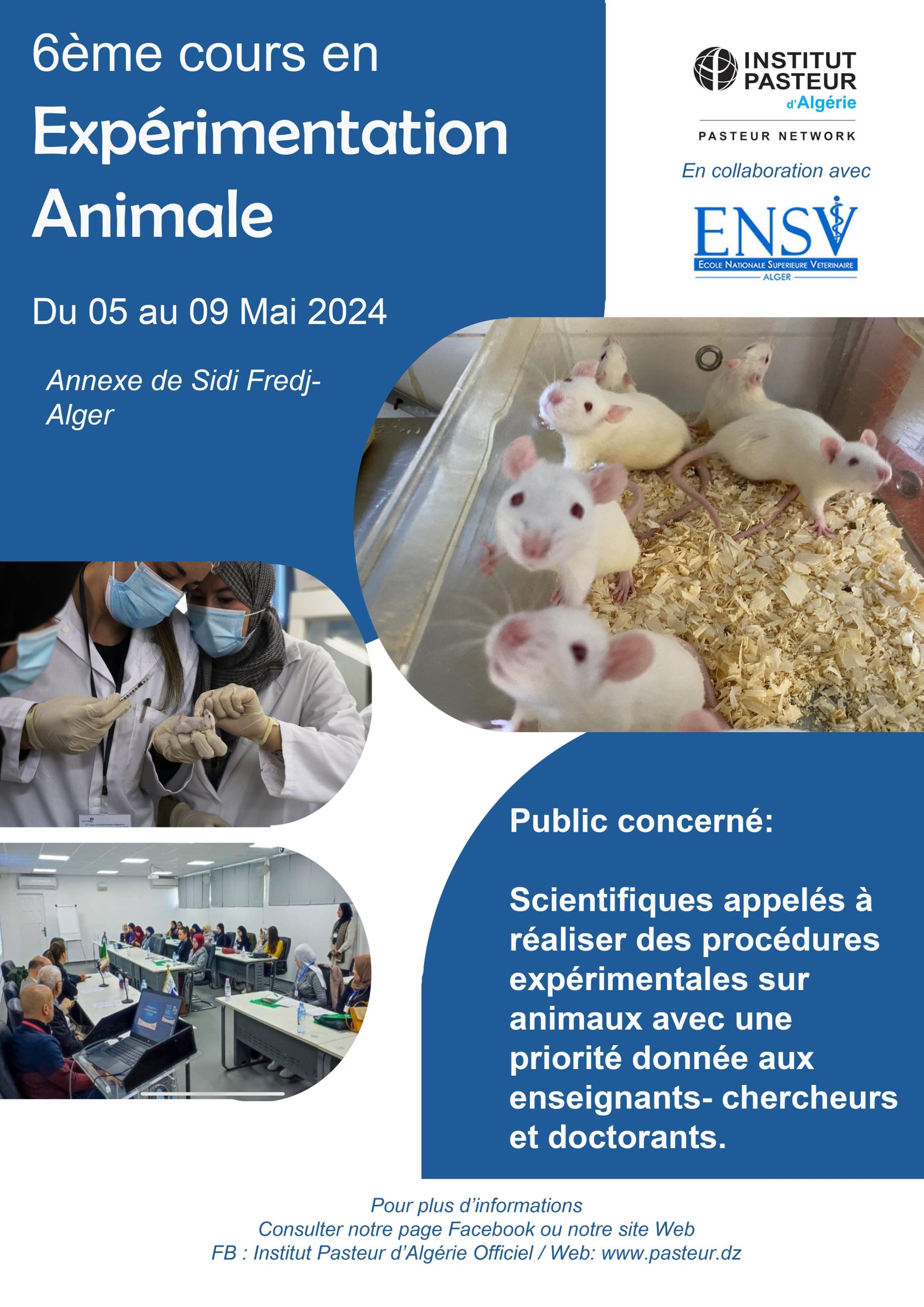 ENSV | 6ème Cours en Expérimentation Animale